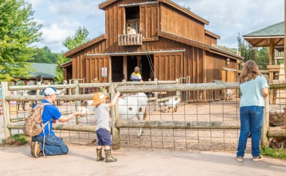 Lewis Farms 2024: Mosey Over to this Fun-Filled Adventure Farm ...