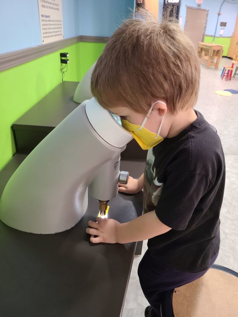 Lakeshore Museum Includes the Museum of History & Science With Two ...