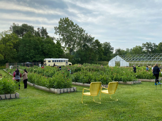 17 Colorful Michigan Flower Farms that Want You to Come Flower Picking ...