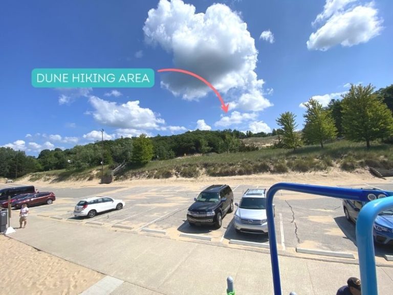 North Beach Park 2025: The Secret Lake Michigan Beach that Families ...