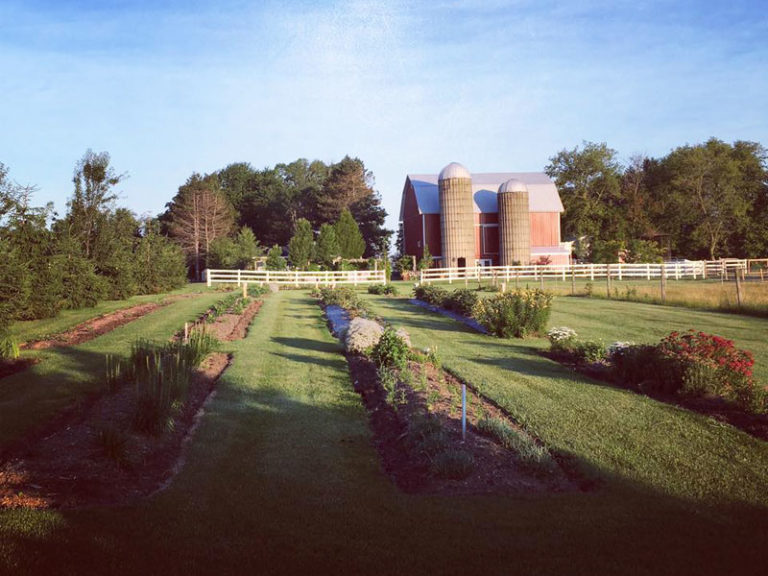 7 Colorful West Michigan Flower Farms that Want You to Come Flower ...