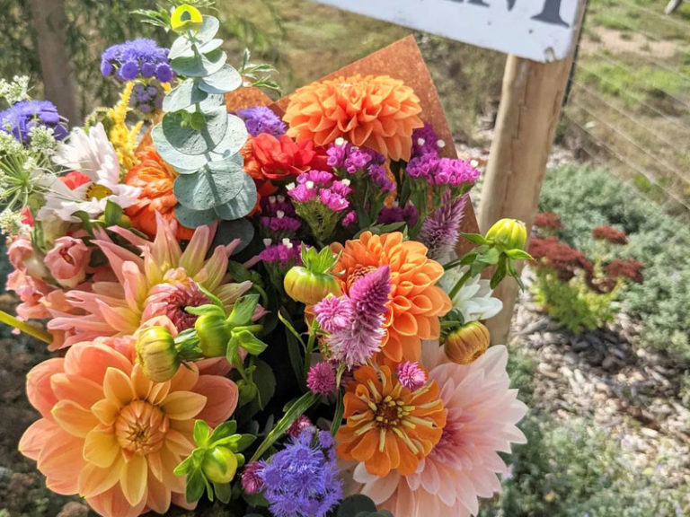 17 Colorful Michigan Flower Farms that Want You to Come Flower Picking - grkids.com
