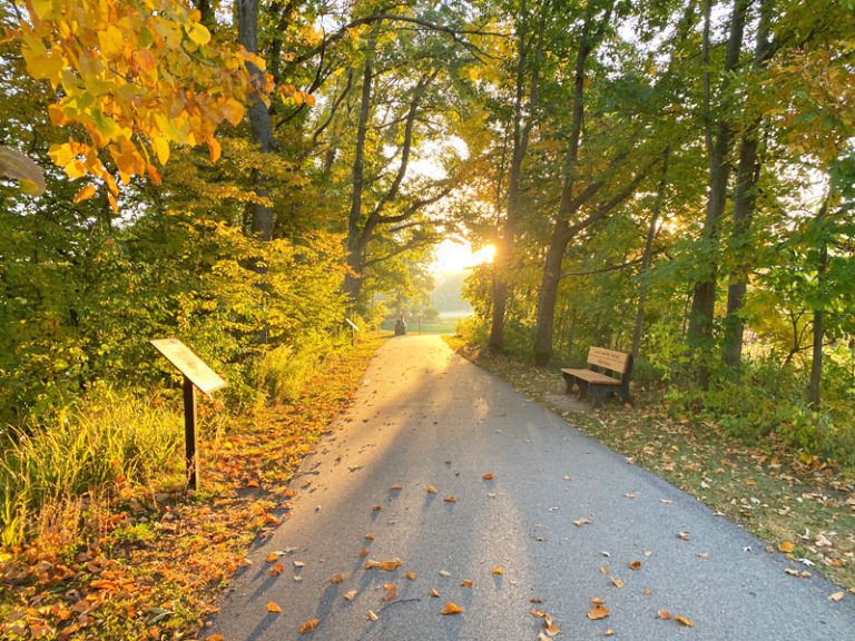 Fall Picture Places: 15 Stunning Spots for Fall Photos in Grand Rapids
