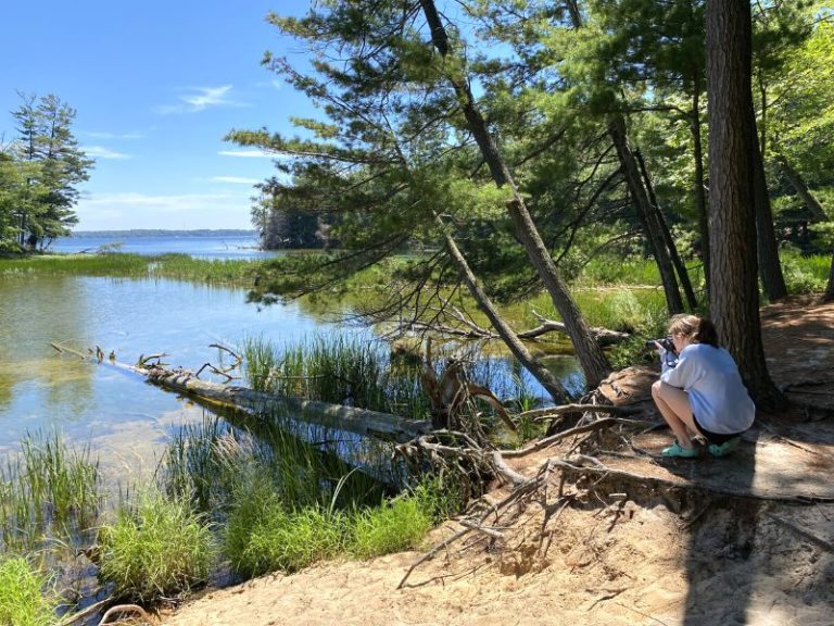 Ludington State Park: Stunning Beaches, Lighthouse, Sand Dunes, Hiking ...