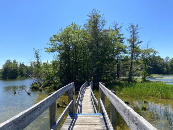 Ludington State Park: Stunning Beaches, Lighthouse, Sand Dunes, Hiking ...