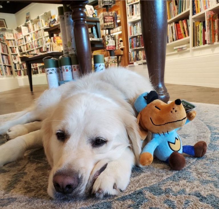 The 10 Most Inviting Spots to Curl up with a Book around Grand Rapids ...