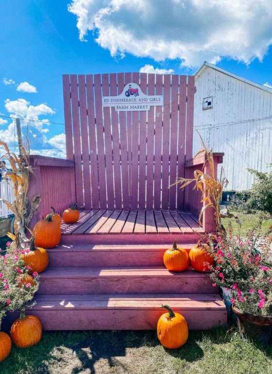 Ed Dunneback Farms 2025: GR's Ultimate Fall Hangout Spot - grkids.com