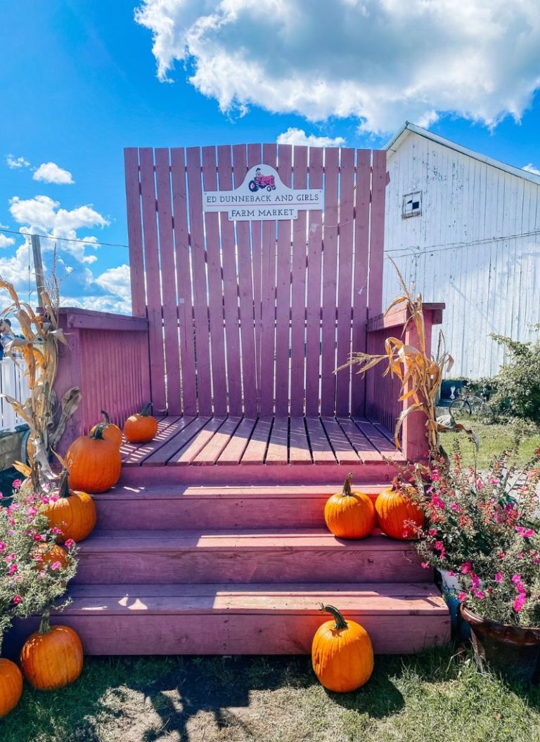 Ed Dunneback Farms 2025: GR's Ultimate Fall Hangout Spot - grkids.com