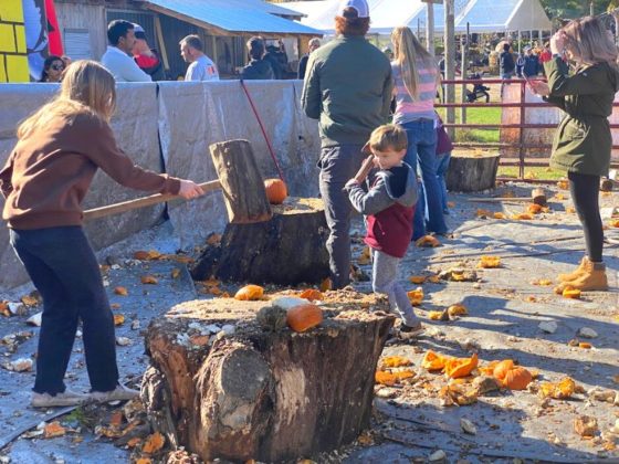 31 of the Best Fall Festivals in Michigan for 2023 - grkids.com