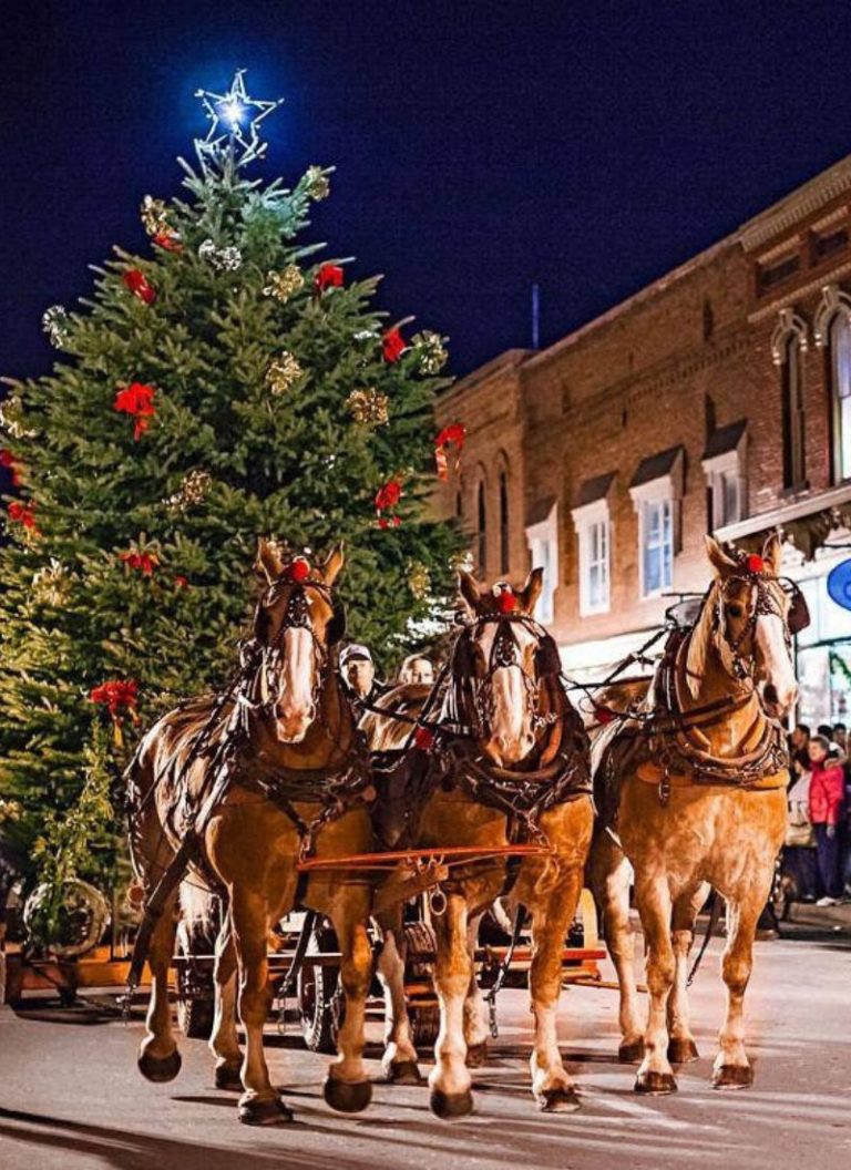Michigan's 7 Most Enchanting Christmas Markets & Other Holiday Events ...