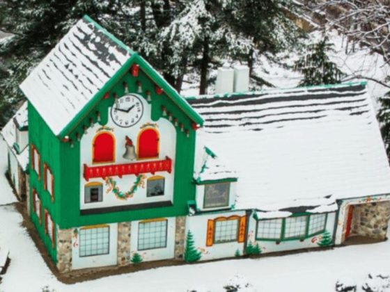 Michigan's 7 Most Enchanting Christmas Markets & Other Holiday Events ...