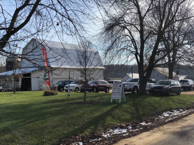 West Michigan Christmas Tree Farms: 20+ Places to Cut Your Own ...