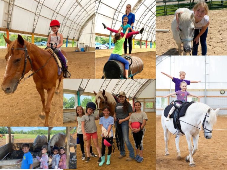 "Own A Horse" at Legacy Stables Summer Camp - grkids.com