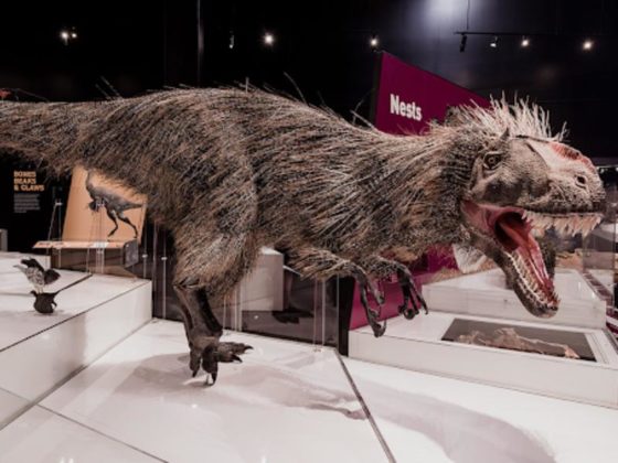 Jurassic! 14 Jaw-Dropping Dinosaur Museums, Parks & Dinosaur Exhibits ...