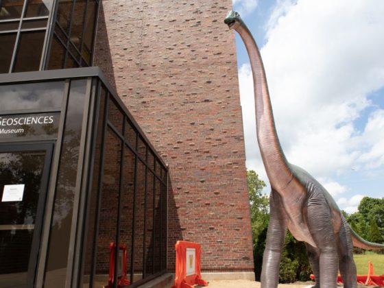 Jurassic! 14 Jaw-Dropping Dinosaur Museums, Parks & Dinosaur Exhibits ...