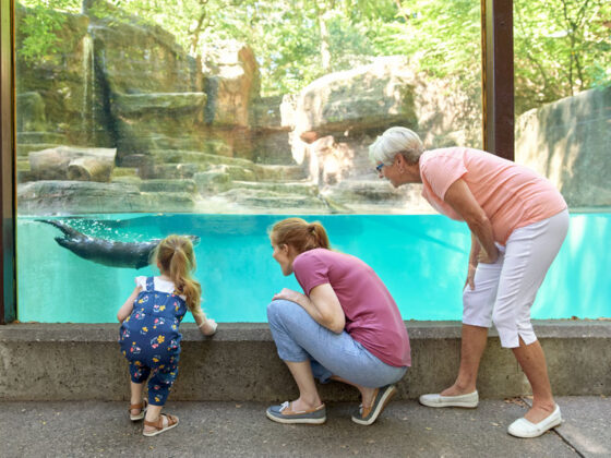 John Ball Zoo 2023: Best Animals, Events & Attractions at the Grand ...