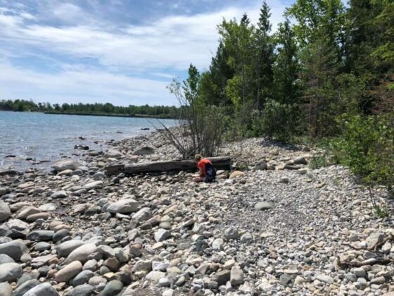 Rockport State Park 2025: Hit the Fossil Motherlode, Explore a Ghost ...