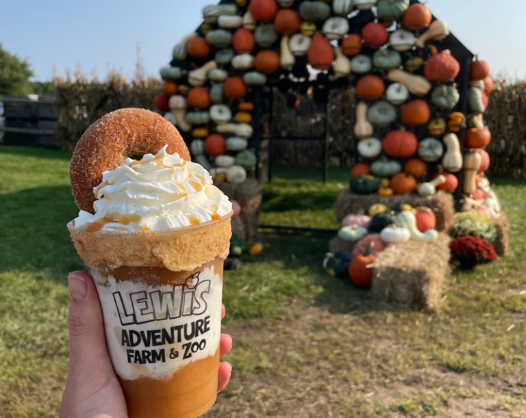 Lewis Farms 2026: Mosey Over to this Fun-Filled Adventure Farm ...