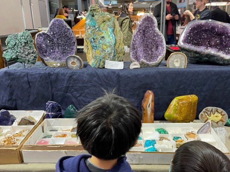 Exciting Spring Break Gem & Mineral Show Returns: Kids Fossil Dig ...