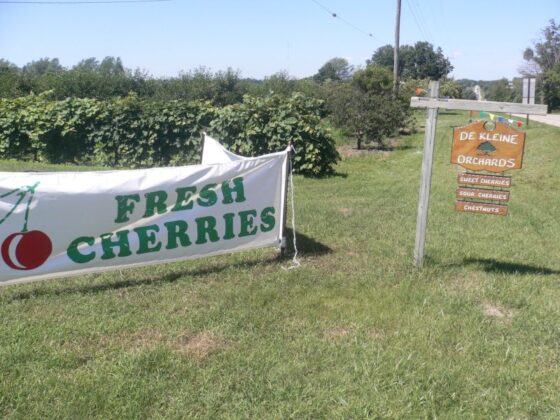 13 Great Cherry Picking Orchards in West Michigan: Visit for a ...