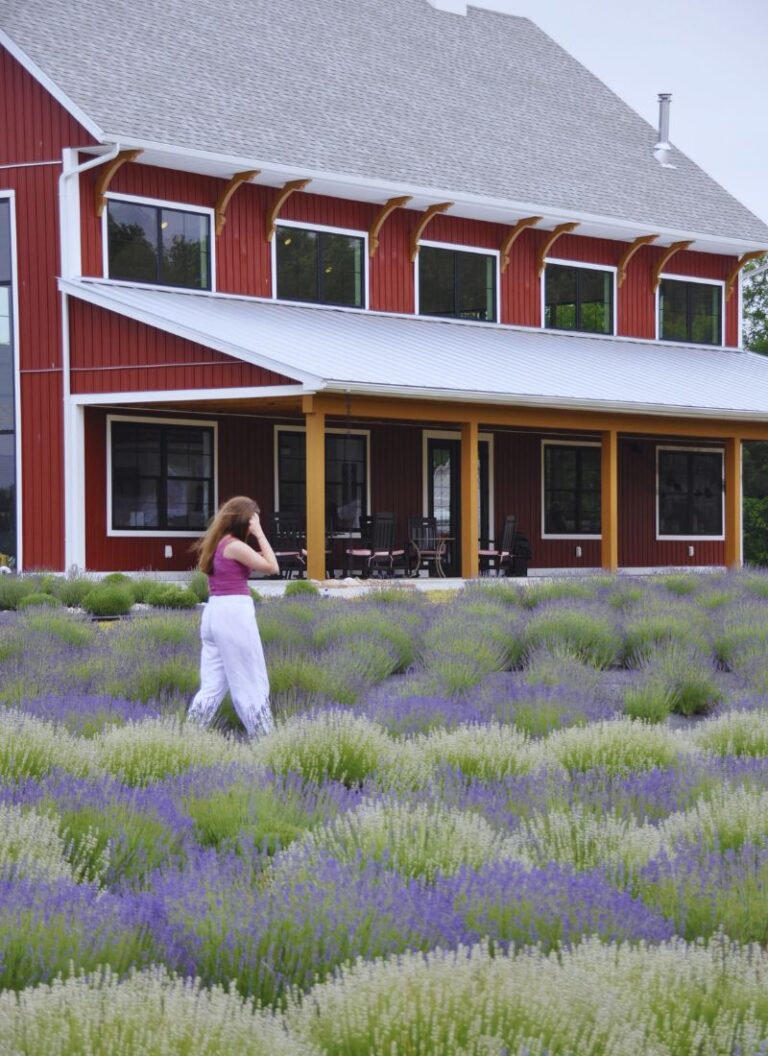 20 Breathtaking Lavender Farms in Michigan with U-Pick for 2025 ...