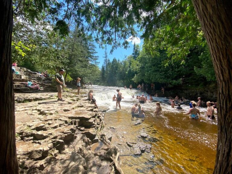 Narnia Trail Michigan 2025: A Magical Michigan Hiking Experience ...