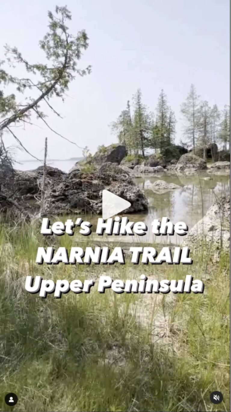 Narnia Trail Michigan 2026: A Magical Michigan Hiking Experience ...
