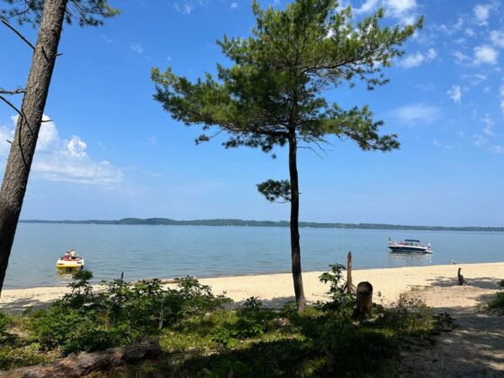 Traverse City's Maple Bay Beach: The Short Hike through Maple Bay ...