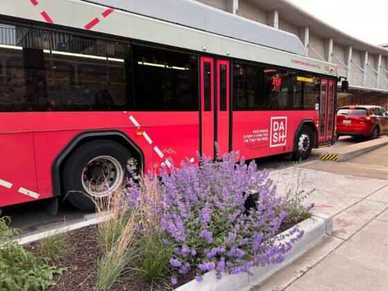 Hop-On, Hop-Off: Uncover Grand Rapids with DASH's Free Bus Service ...