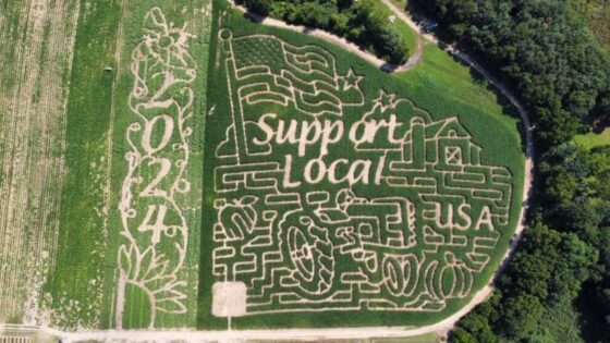 Ear-resistible! 2024 Corn Mazes Guide for West Michigan Has Popped ...