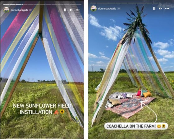 Ed Dunneback Farms 2025: GR's Ultimate Fall Hangout Spot - grkids.com