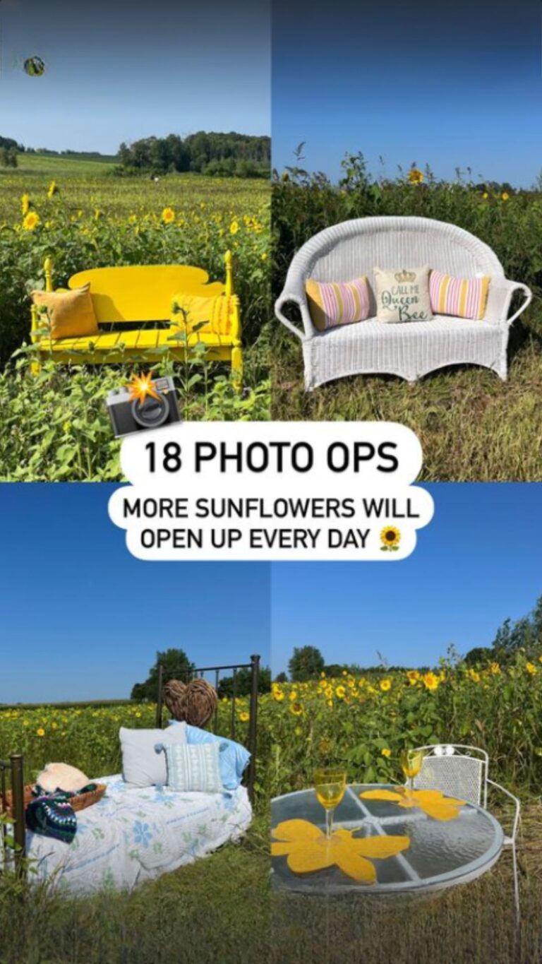 Ed Dunneback Farms 2025: GR's Ultimate Fall Hangout Spot - grkids.com