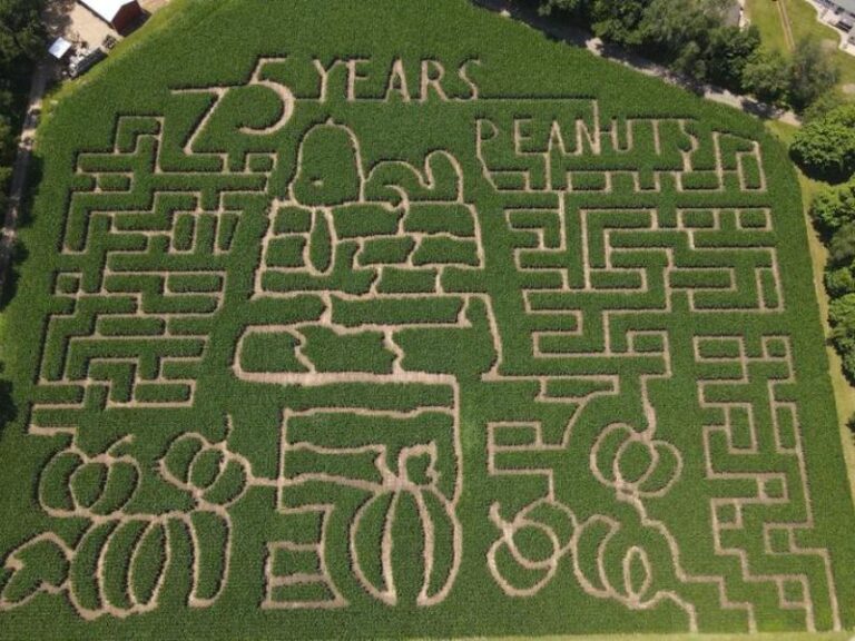 Ear-resistible! 2024 Corn Mazes Guide for West Michigan Has Popped ...