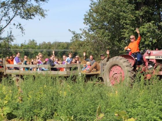 Post Family Farm 2024: Where Little Kids Have Big Fun and Donuts Steal ...