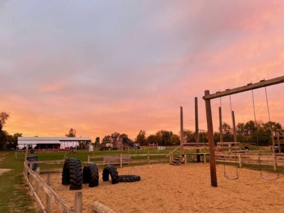 Post Family Farm 2024: Where Little Kids Have Big Fun and Donuts Steal ...