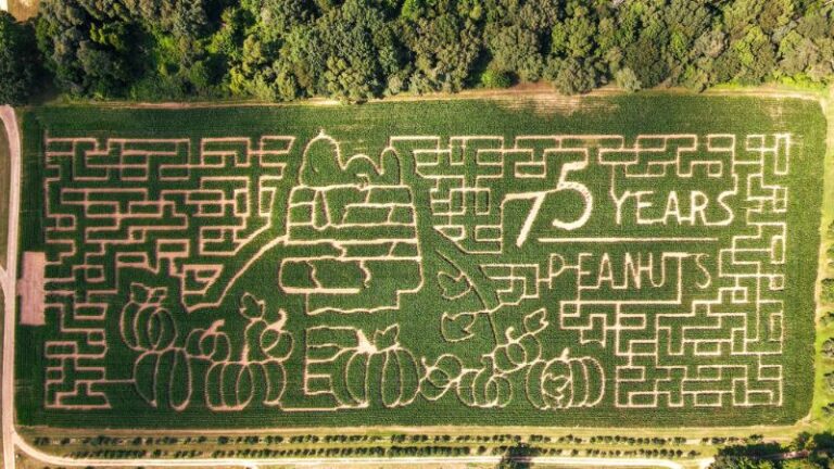 Ear-resistible! 2024 Corn Mazes Guide for West Michigan Has Popped ...