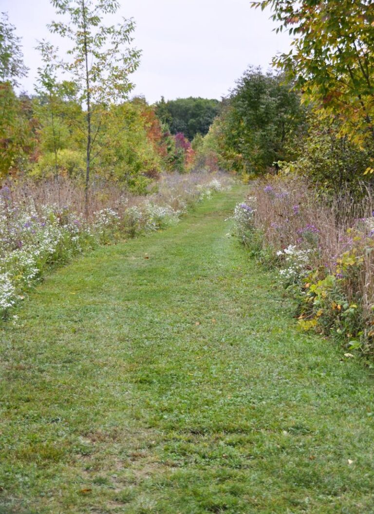 Tree House Tops Off Stunning Grand Ravines Park in West MI: Enjoy 2 ...