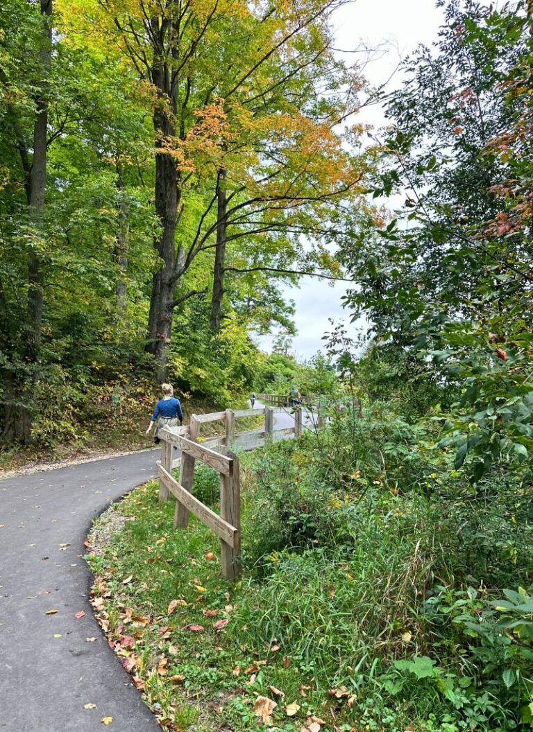 Tree House Tops Off Stunning Grand Ravines Park in West MI: Enjoy 2 ...