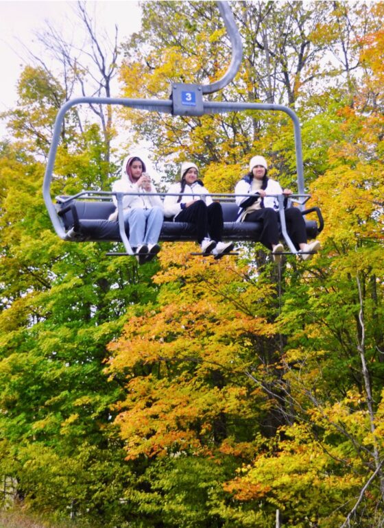 SkyBridge Michigan’s Lights in the Sky 2025: Here’s What to Expect this ...