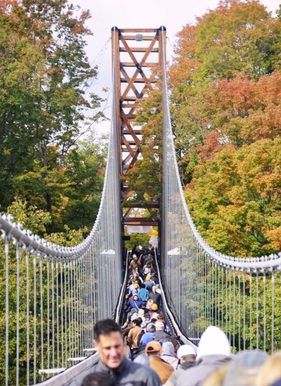 SkyBridge Michigan is Your Thrill-Inducing Adventure - Any Time of Year ...