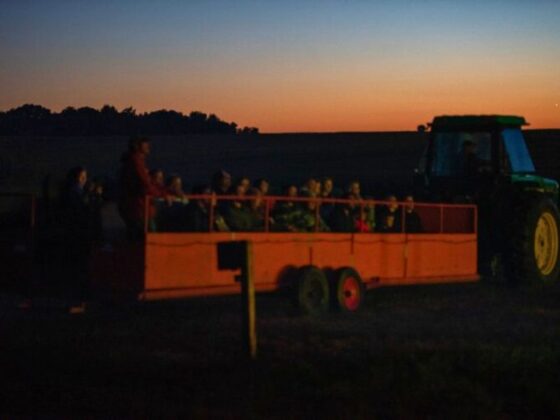 Kid-Friendly Halloween Lights, Daytime Corn Maze at New Salem Haunt for ...