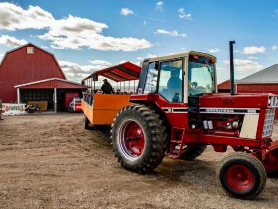 Kid-Friendly Halloween Lights, Daytime Corn Maze at New Salem Haunt for ...