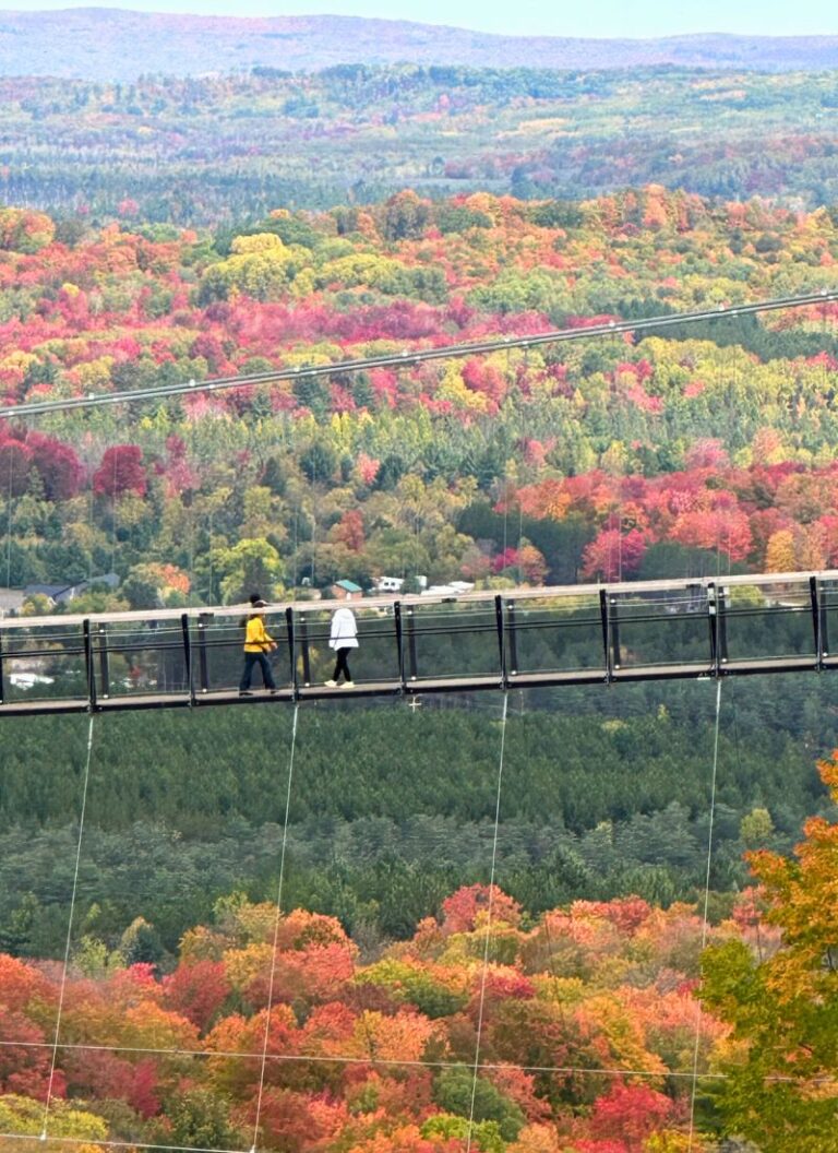 Michigan's SkyBridge is the Exhilarating Destination You've Been ...