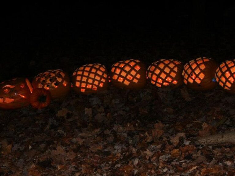 Be Inspired by 700+ Jack-O'-Lanterns at the Pumpkin Walk Allendale ...