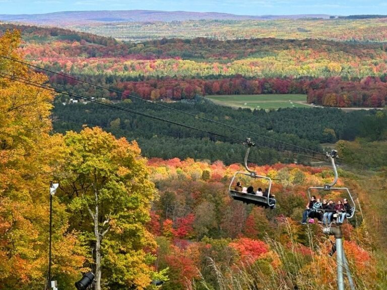 SkyBridge Michigan’s Lights in the Sky 2025: Here’s What to Expect this ...