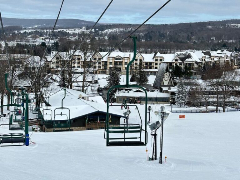 SkyBridge Michigan’s Lights in the Sky 2025: Here’s What to Expect this ...