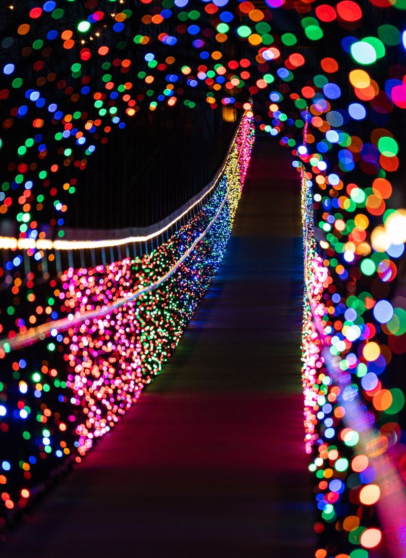SkyBridge Michigan’s Lights in the Sky Returns Nov 2024: Here’s What to ...