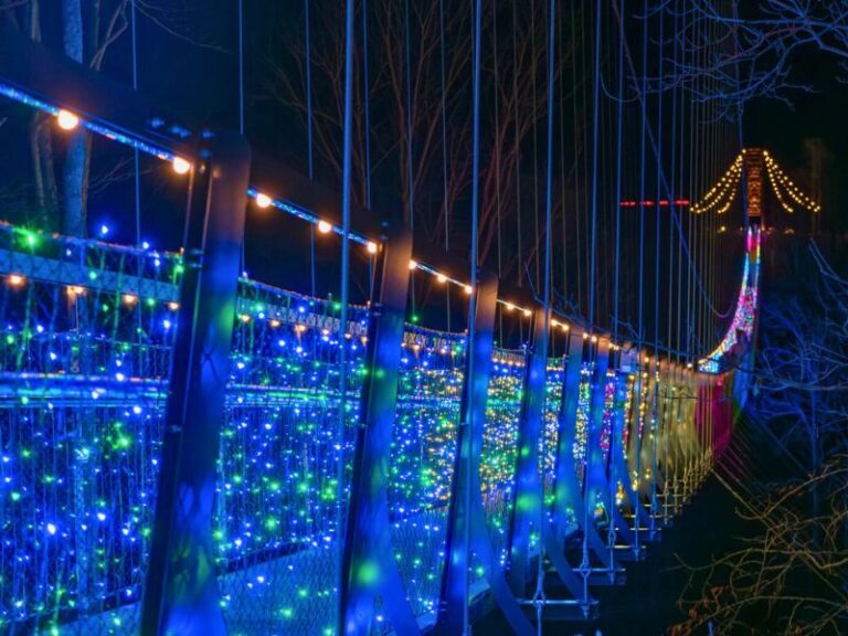 SkyBridge Michigan is the Fall Colors Adrenaline Rush You Need to ...