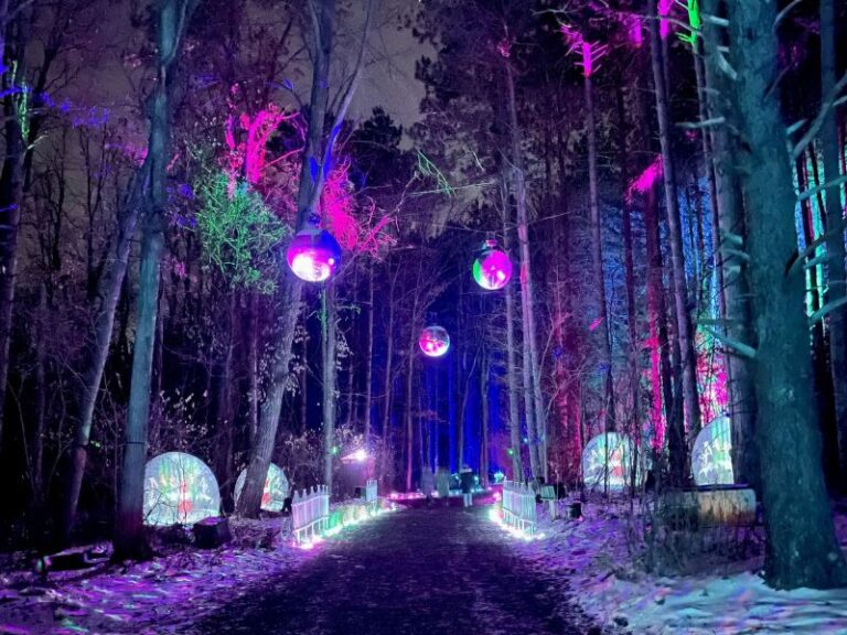 13 Merry & Bright Walk Through Christmas Lights Experiences in Michigan ...