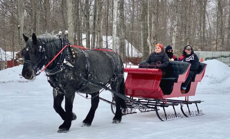 12 Nostalgic Horse Drawn Sleigh Rides & Carriage Rides in Michigan ...
